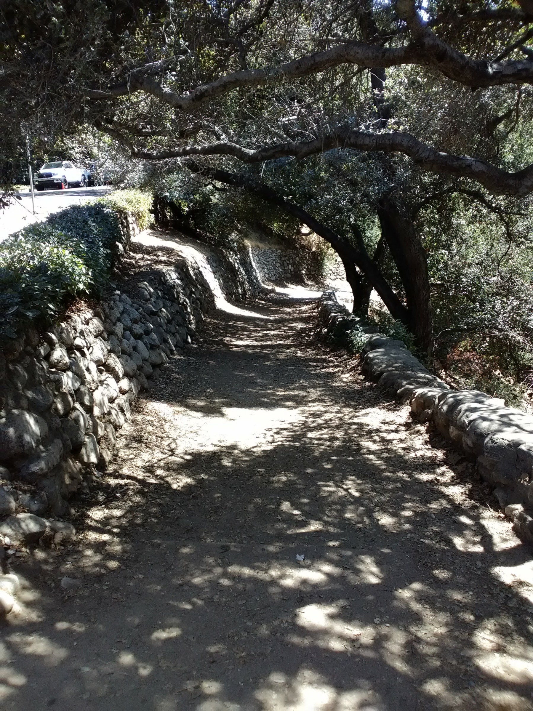 The Lower Arroyo: Pasadena’s Forgotten Park – Transiting Los Angeles
