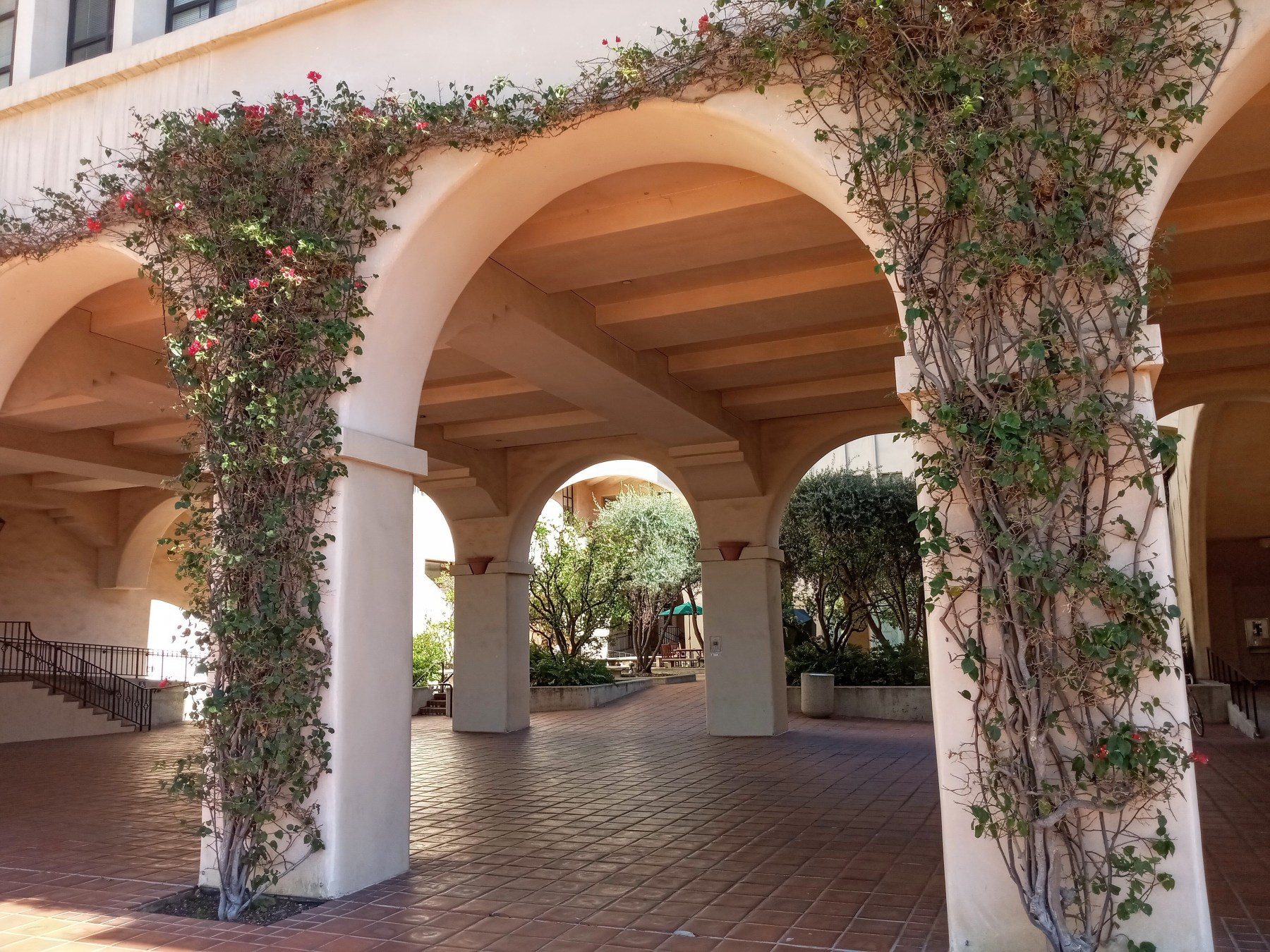 A Walking Tour of Caltech – Transiting Los Angeles
