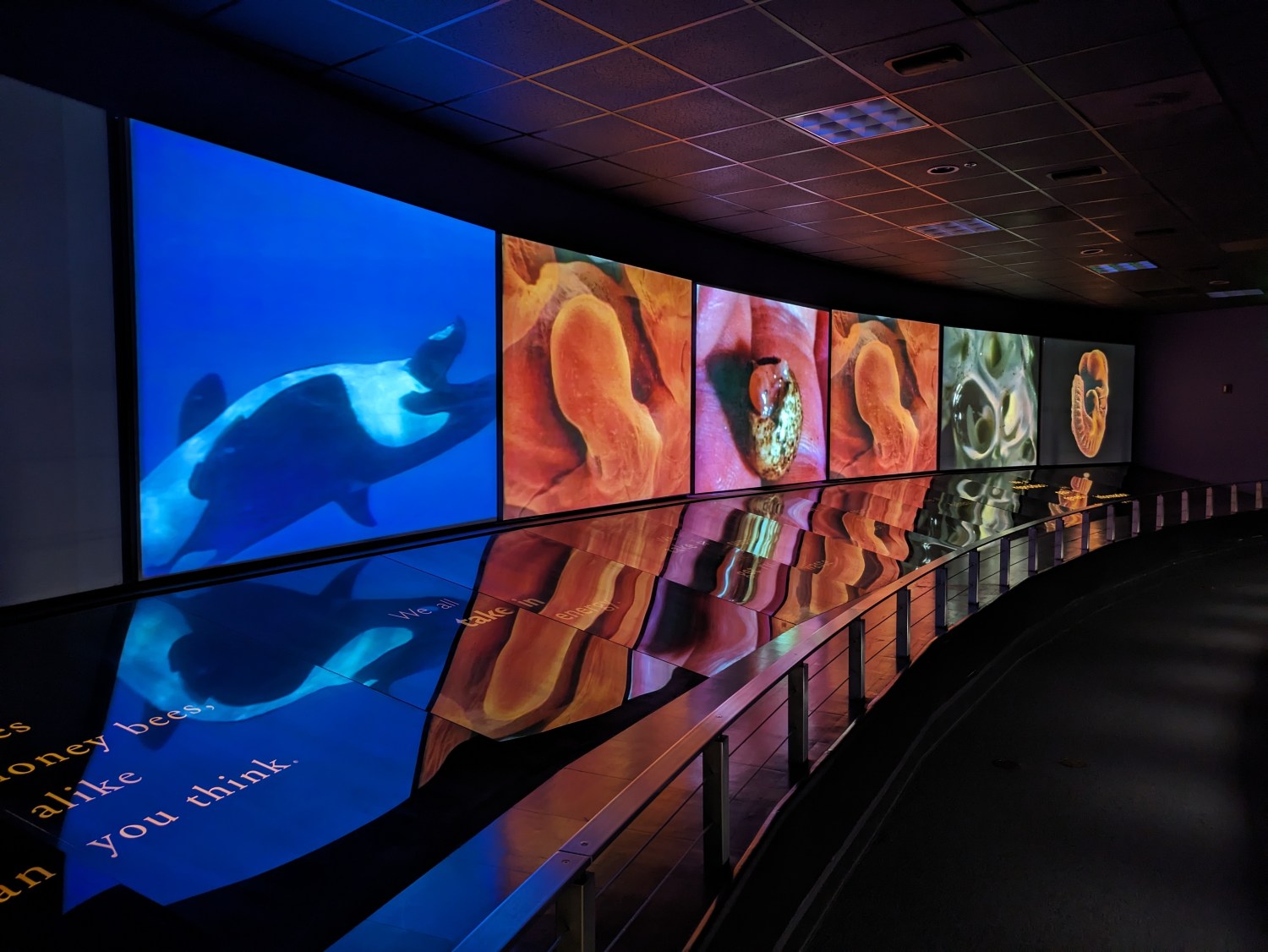 Expo Park – Transiting Los Angeles